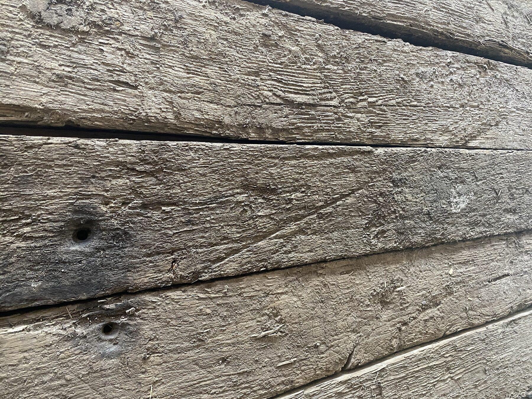 Oud hout - Twan Jansen